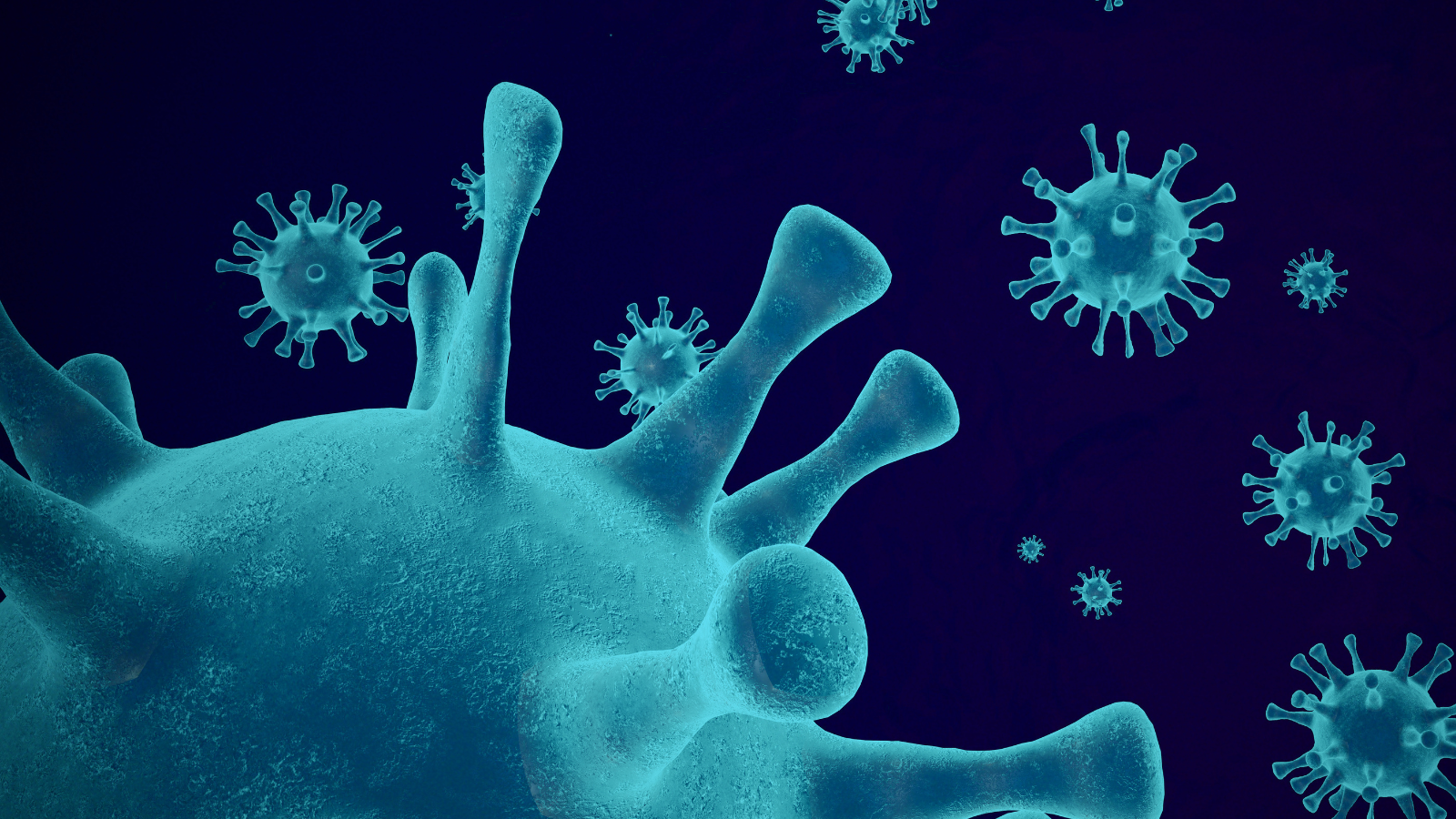 Community based infectious disease screening in recently arrived ...